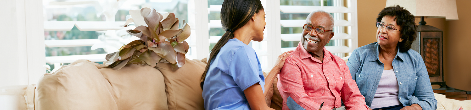 Programa de Visitas de Salud a Domicilio (en persona o mediante una ...